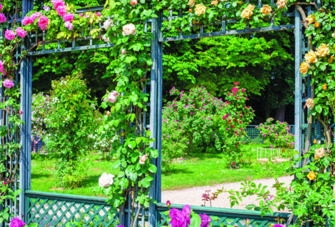 L’Haÿ-les-Roses : la Roseraie du Val-de-Marne - liti.fr